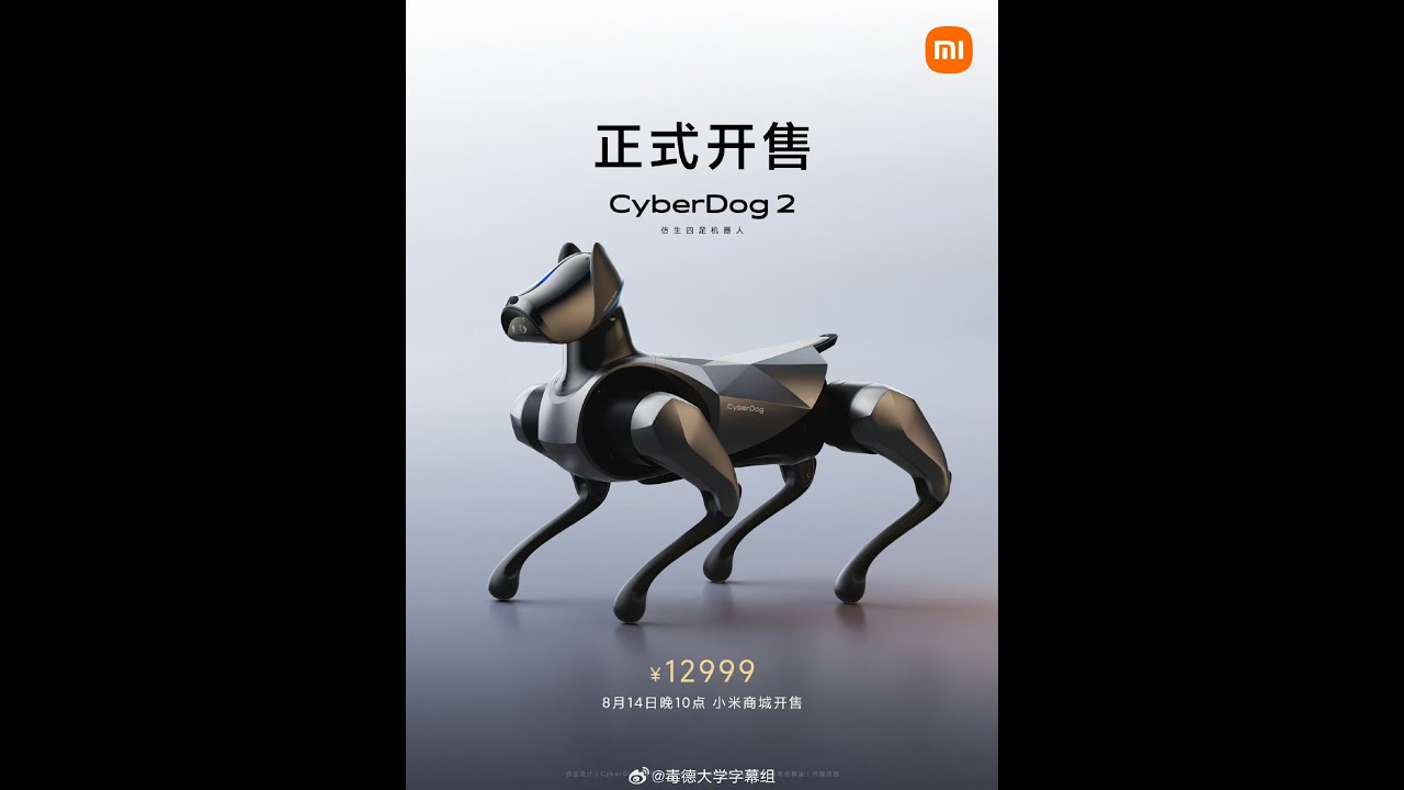 Xiaomi Cyber Dog 2 Bionic Quadruped Robot - YouTube