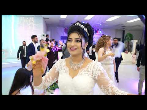 DAUOD & LAVA عرس داوود ولافا اجمل عرس كردي بسويسرا مع عمالقة من الفنانين