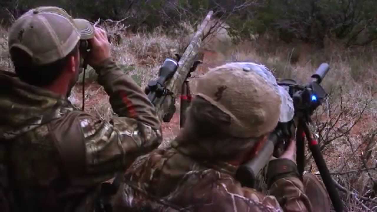 Thermal Hog Hunting | Pure Hunting S4, EP.3 - "Thermal Pork" - YouTube