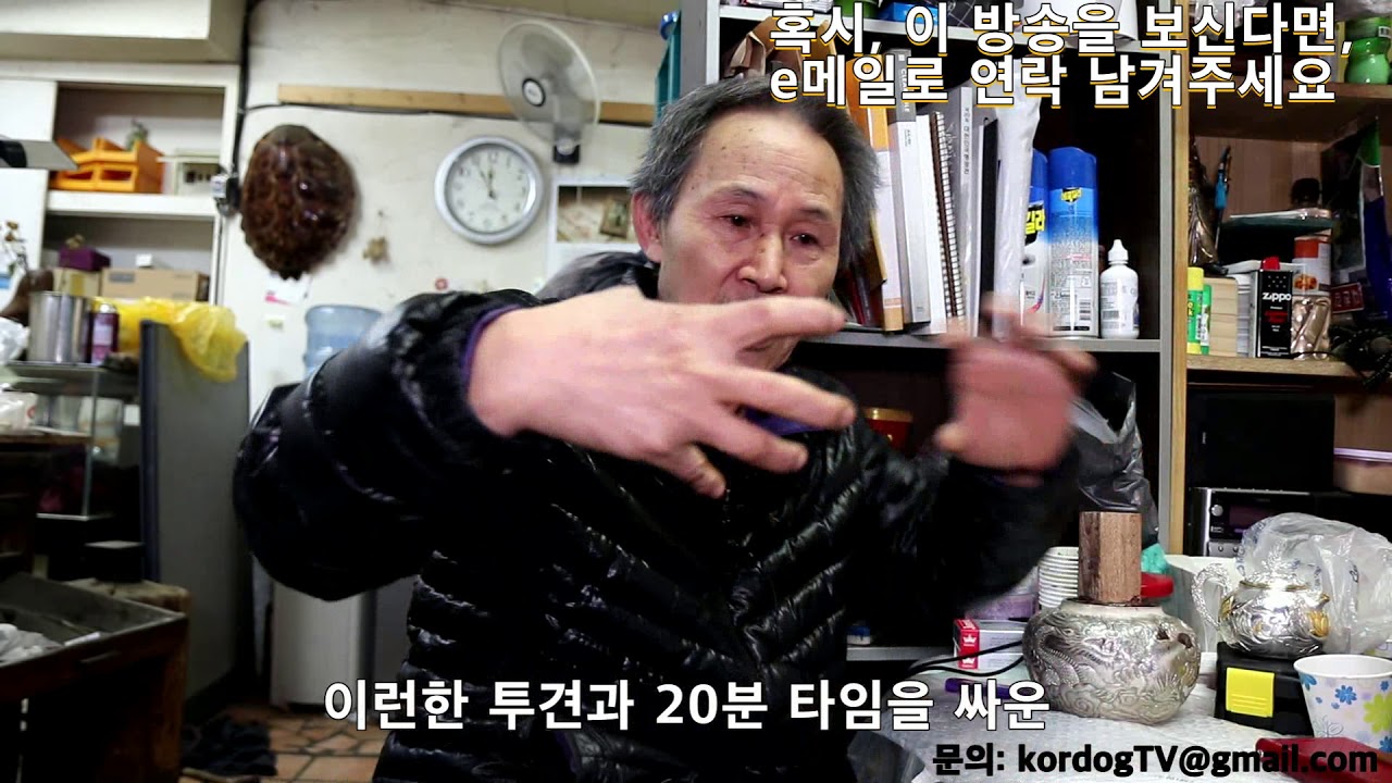 [kordog TV] #1-3 1980년대 진돗개 명견: 강화(답십리) 노랭이, korean jindo dog . - YouTube