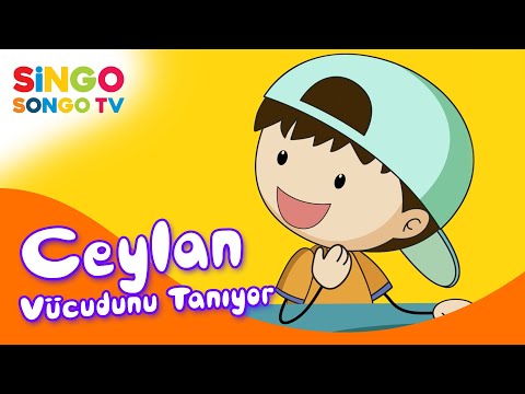 CEYLAN Vücudunu Tanıyor ✋👃👁 – SingoSongo TV I İsme Özel Çocuk Şarkıları 🎶