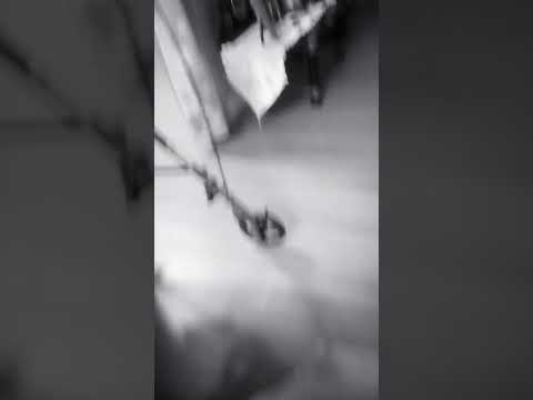 8 de diciembre de 2024