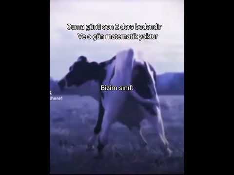 bizim sınıdın halay çekişi ve tpörk atışı