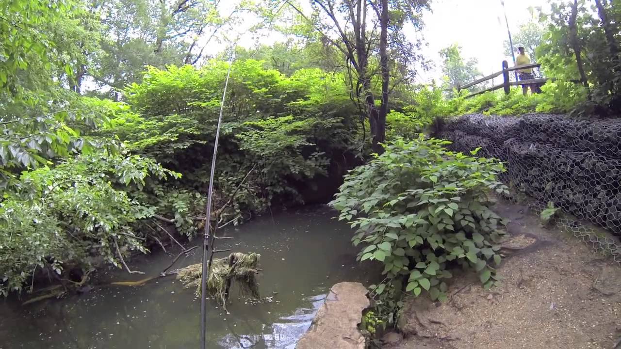 Bass Fishing after a Massive Thunderstorm at Haddon Lake, NJ - YouTube