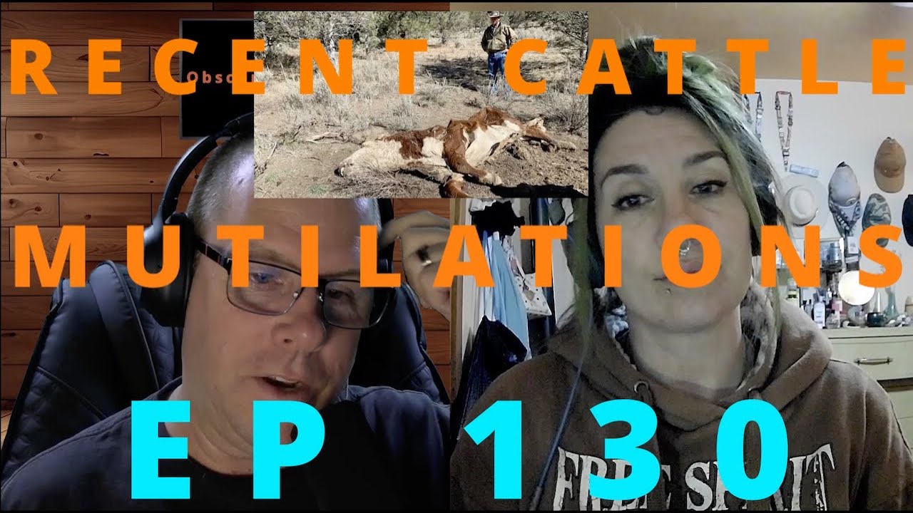 Recent Cattle Mutilations EP 132 - YouTube