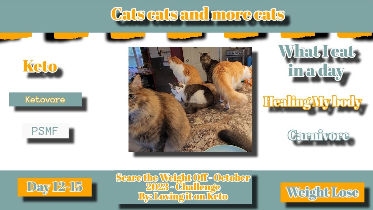 Challenge By Loving it on Keto Day 12 -15 I have been so sick Plus cats ...