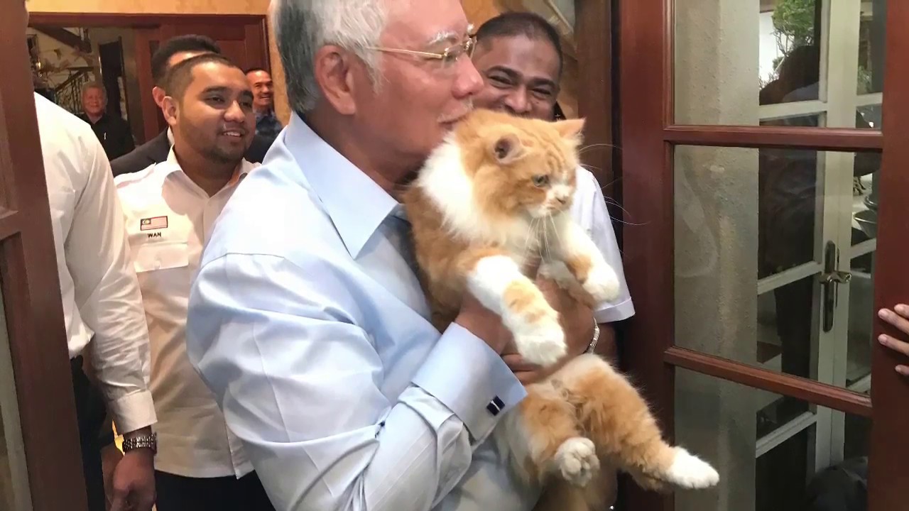 Kiki Kucing Kesayangan PM Najib - YouTube