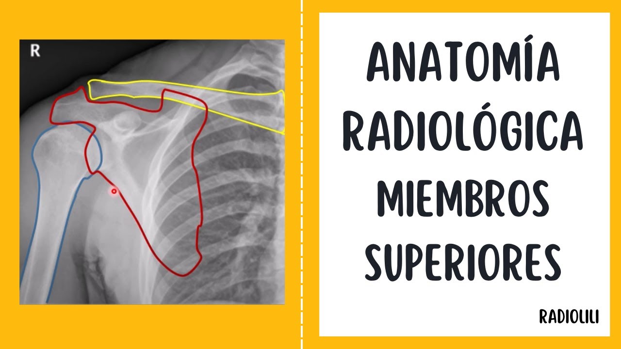 Anatomía Radiológica - Radiología Convencional: Miembros Superiores ...