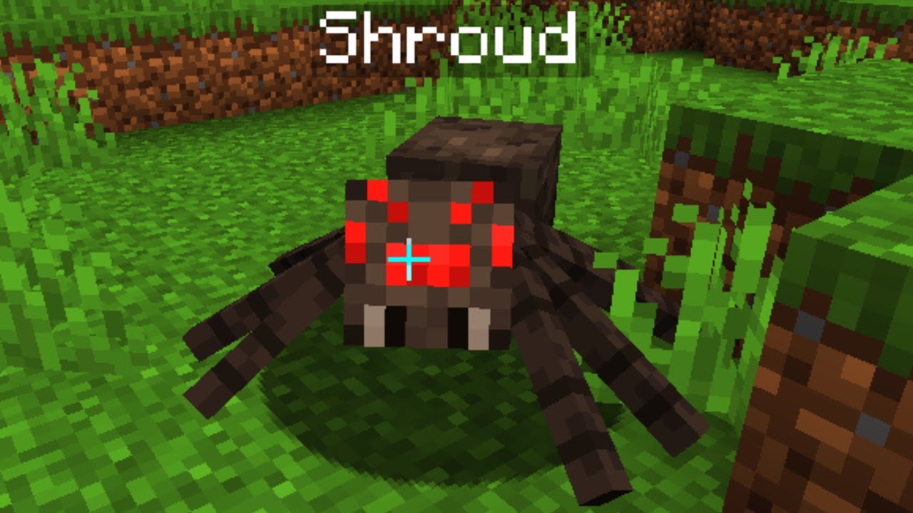 GeorgeNotFound kills Tommy's Spider "Shroud" on the Dream SMP - YouTube