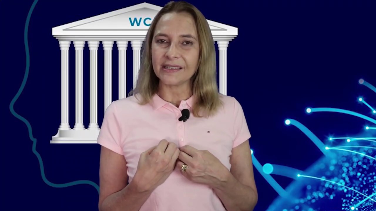 WCM - Pilar: Desdobramento e Análise de Custos (CD), com a professora ...