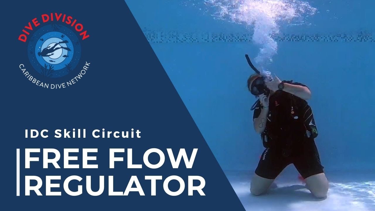 PADI IDC Skill Circuit: Free Flow Regulator (Revised Instructor ...