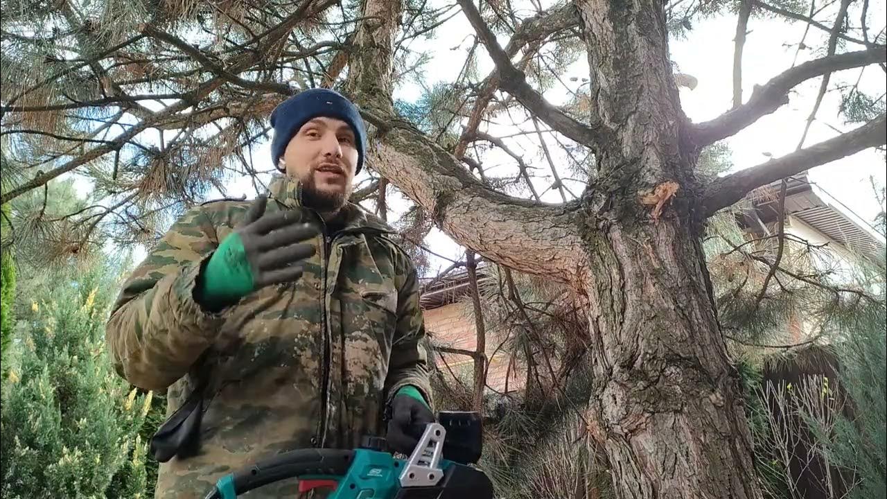 Электро пила зубр пц-1835 #инструмент #зубр #обзор #дача #советы - YouTube