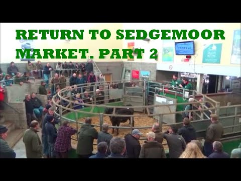 RETURN TO SEDGEMOOR MARKET. PART 2 - YouTube