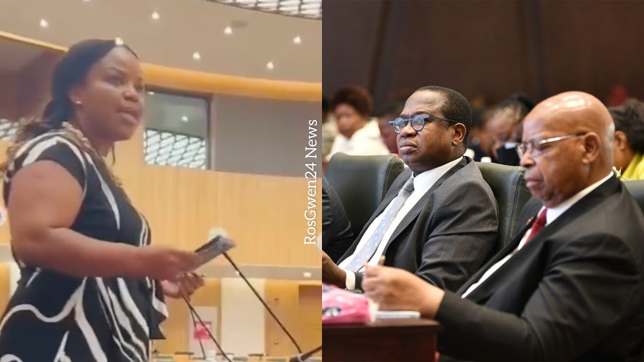 CCC MP Fadzayi Mahere silences Zanu PF in parliament | Zimbabwe - YouTube