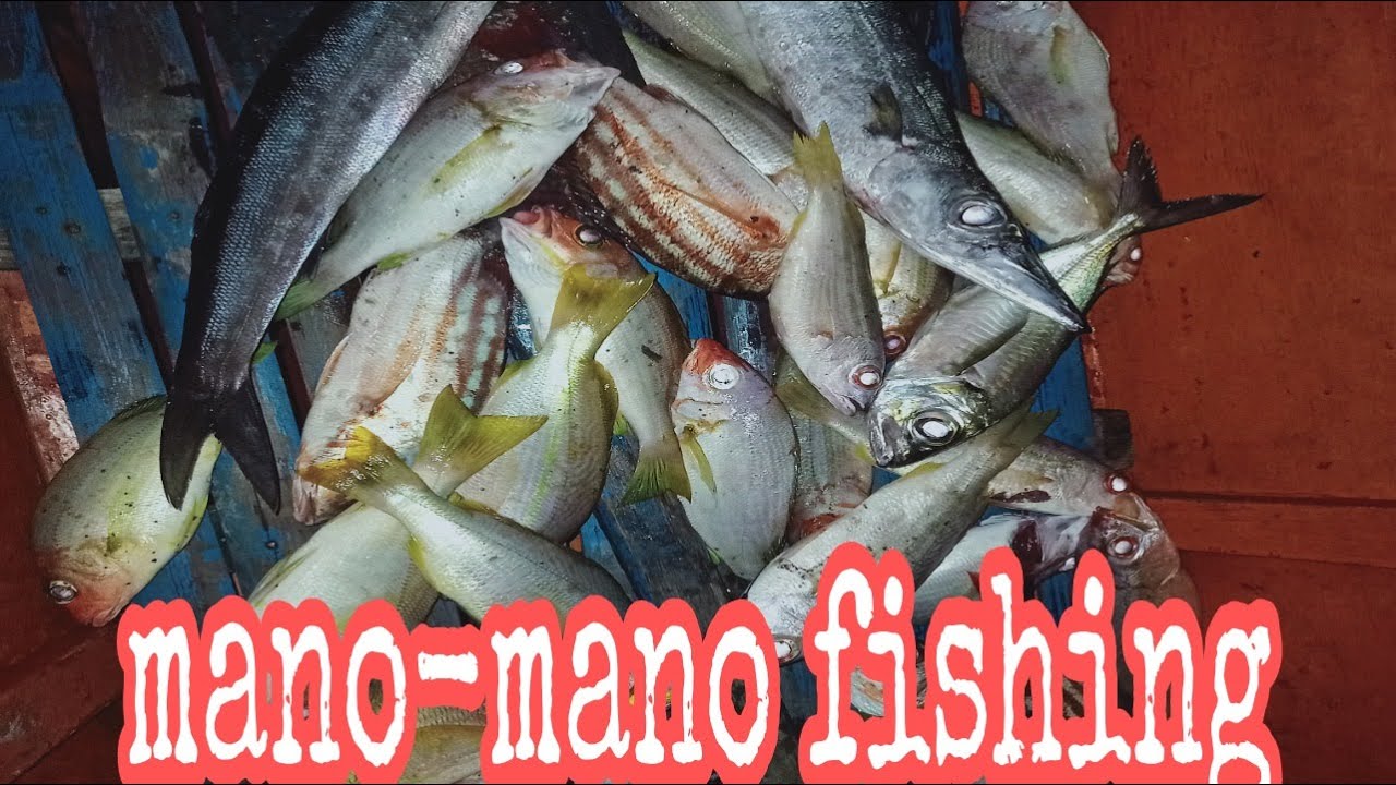 Mano-mano fishing||one trip T.V sibuyanon kita - YouTube