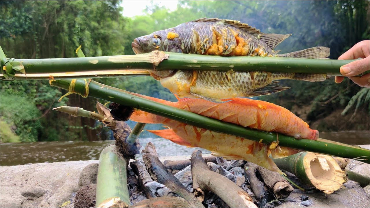 Catch and Cook Fish in Beautiful Nature SO YUMMY!! - YouTube