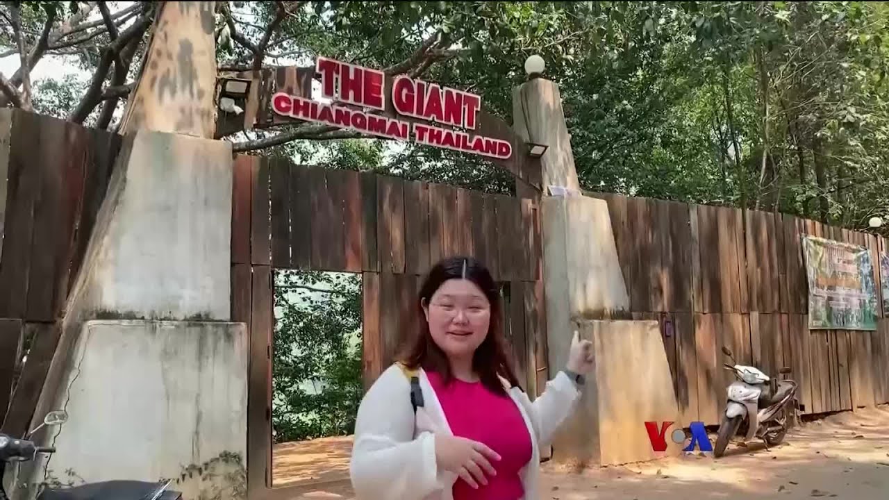 သစ်ပင်ပေါ်က ကော်ဖီဆိုင် နော်သဇင်ရဲ့ Vlog Youtube
