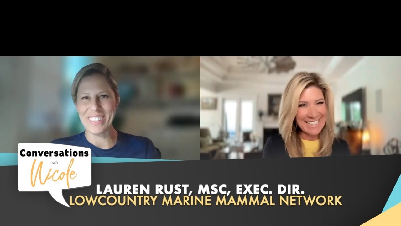 Dolphin encounters! Getting educated with Lauren Rust, Lowcountry ...