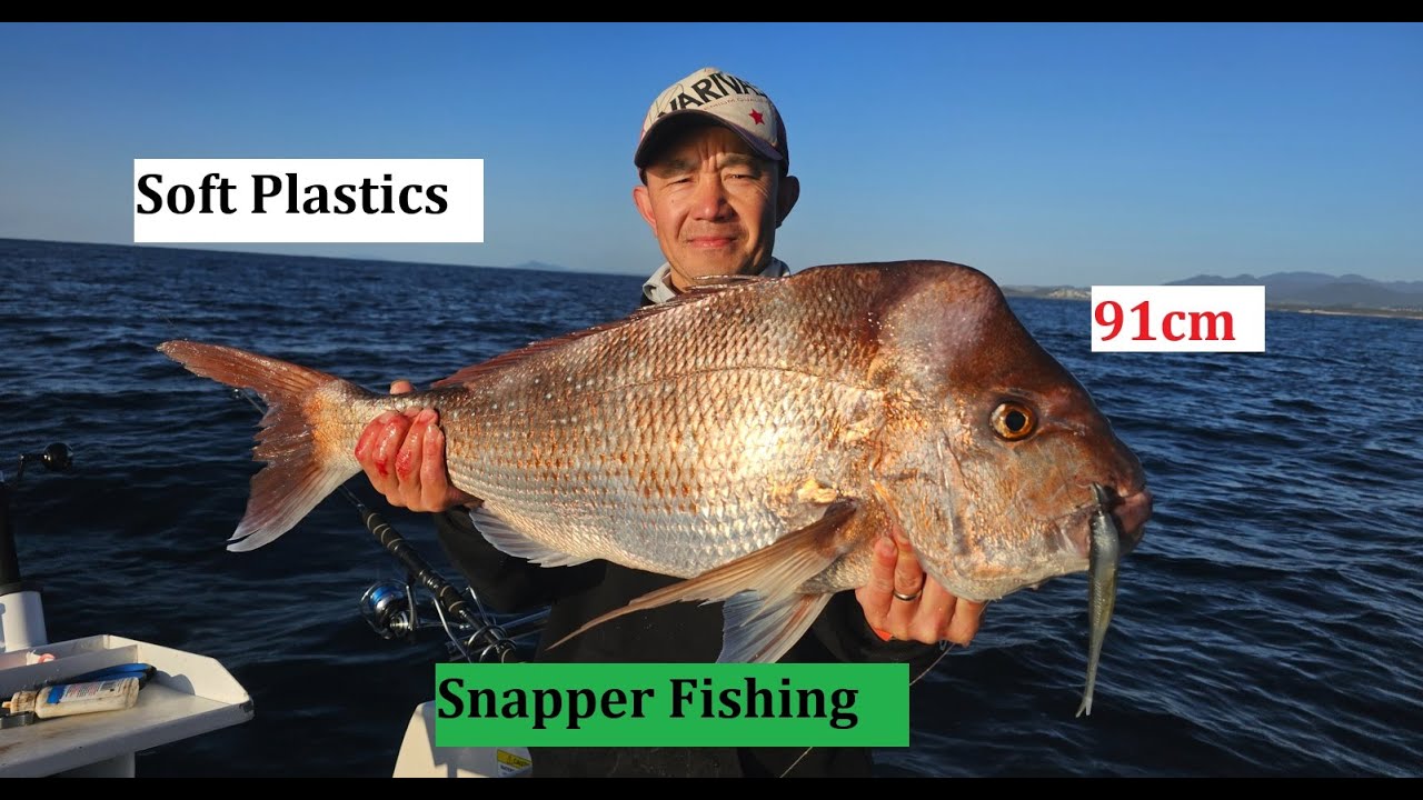 Secret Snapper Soft plastics| 91cm |Stella FK|Daiwa Exist|Missing at ...