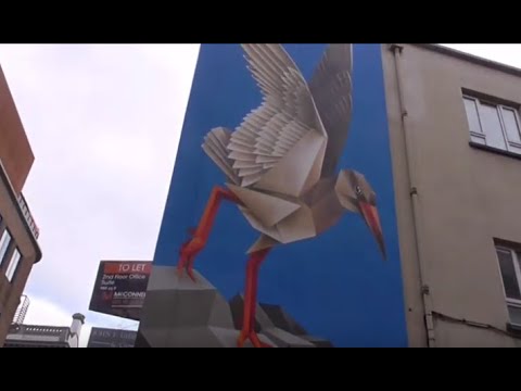 Annatomix Street Art Seascapes Coles Alley Belfast - YouTube