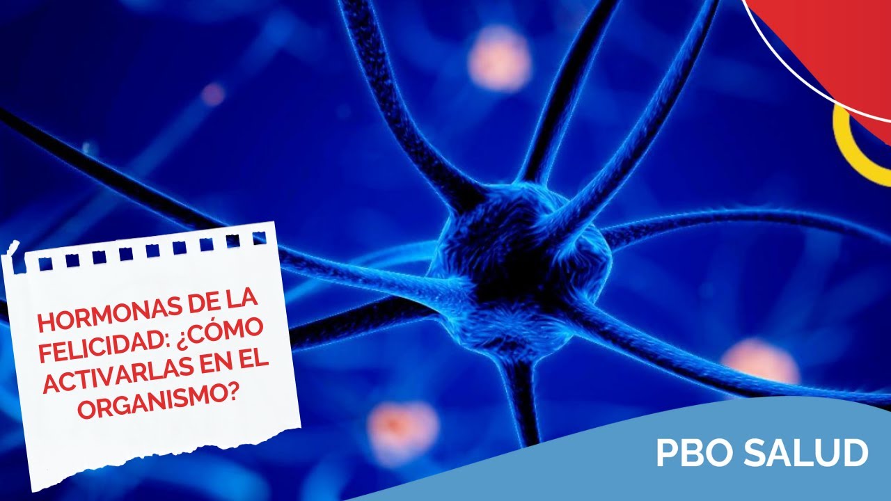 Hormonas de la felicidad: ¿Cómo podemos activarlas en nuestro organismo ...