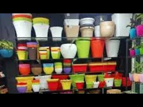 exotic plant pot shop#300 +pot verieties || pots price || indoor ...