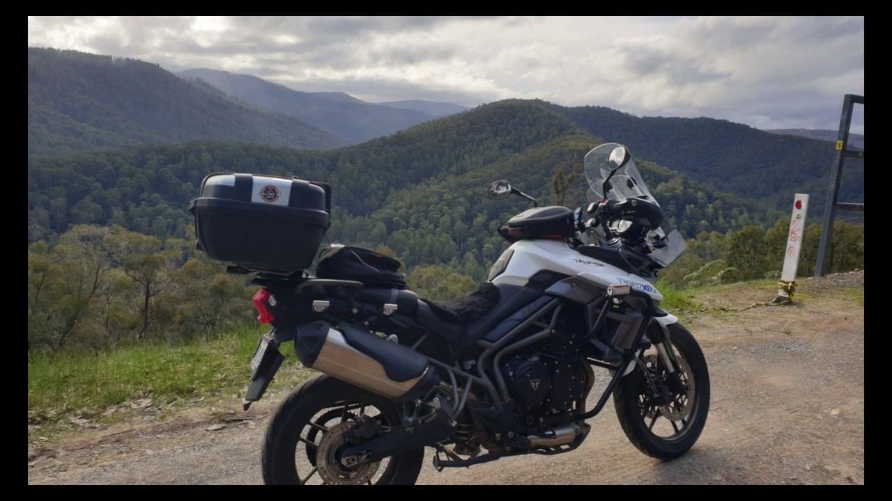 Triumph Tiger 800 Xrx - Reefton Spur - 1/7/19 - YouTube