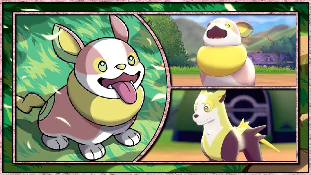 Live shiny Yamper (+Evo) on Shield after 3,812 encounters! (BQ#1) - YouTube