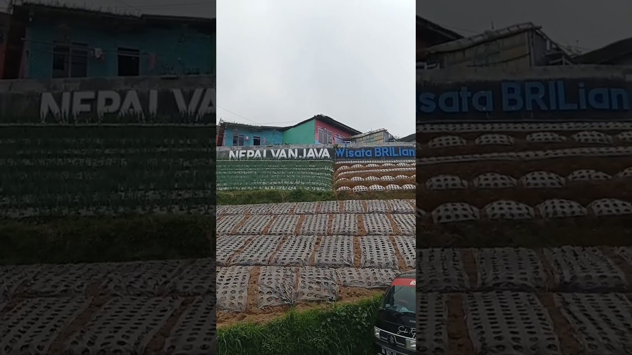 Nepal Van Java Dusun Butuh Kaliangkrik Magelang Jawa Tengah Indonesia # ...