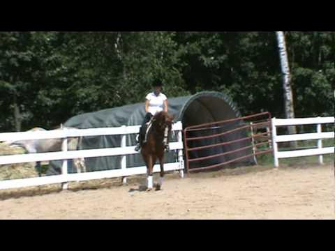 Maestros C Sharp Part 2 - YouTube