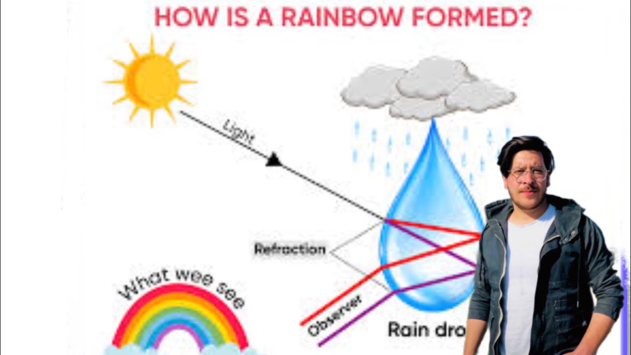 Formation of Rainbow | Class 12th|primary rainbow and Secondary rainbow ...