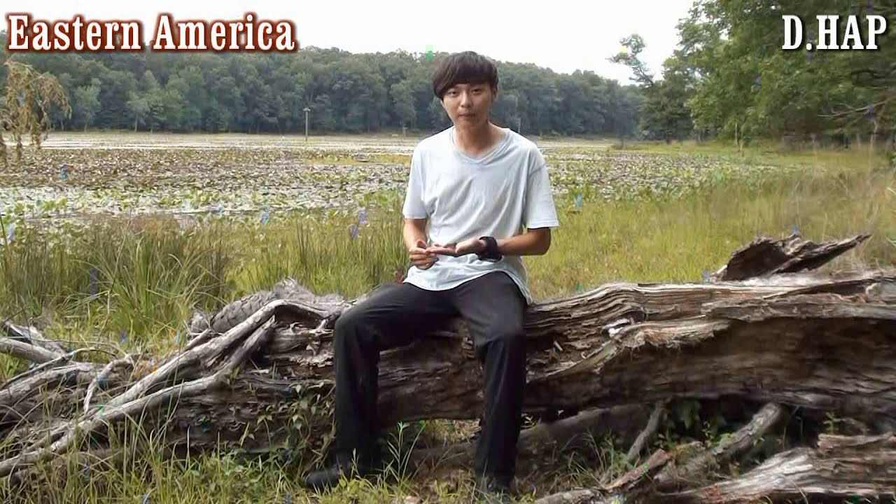 [D.HAP] Exploration to the Eastern America - YouTube