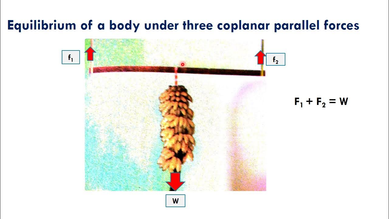 grade 10 unit 12 .Equilibrium of forces - YouTube