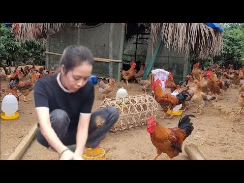 My country daily life/country food/ST Daily Life. - YouTube