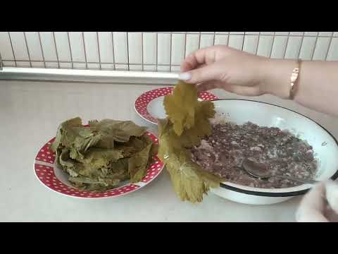 Teney dolmasi yarpaq dolma