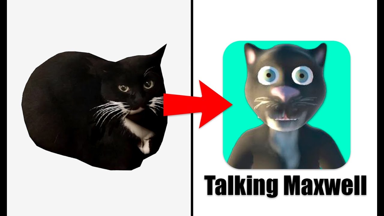Maxwell cat But Talking Maxwell - YouTube