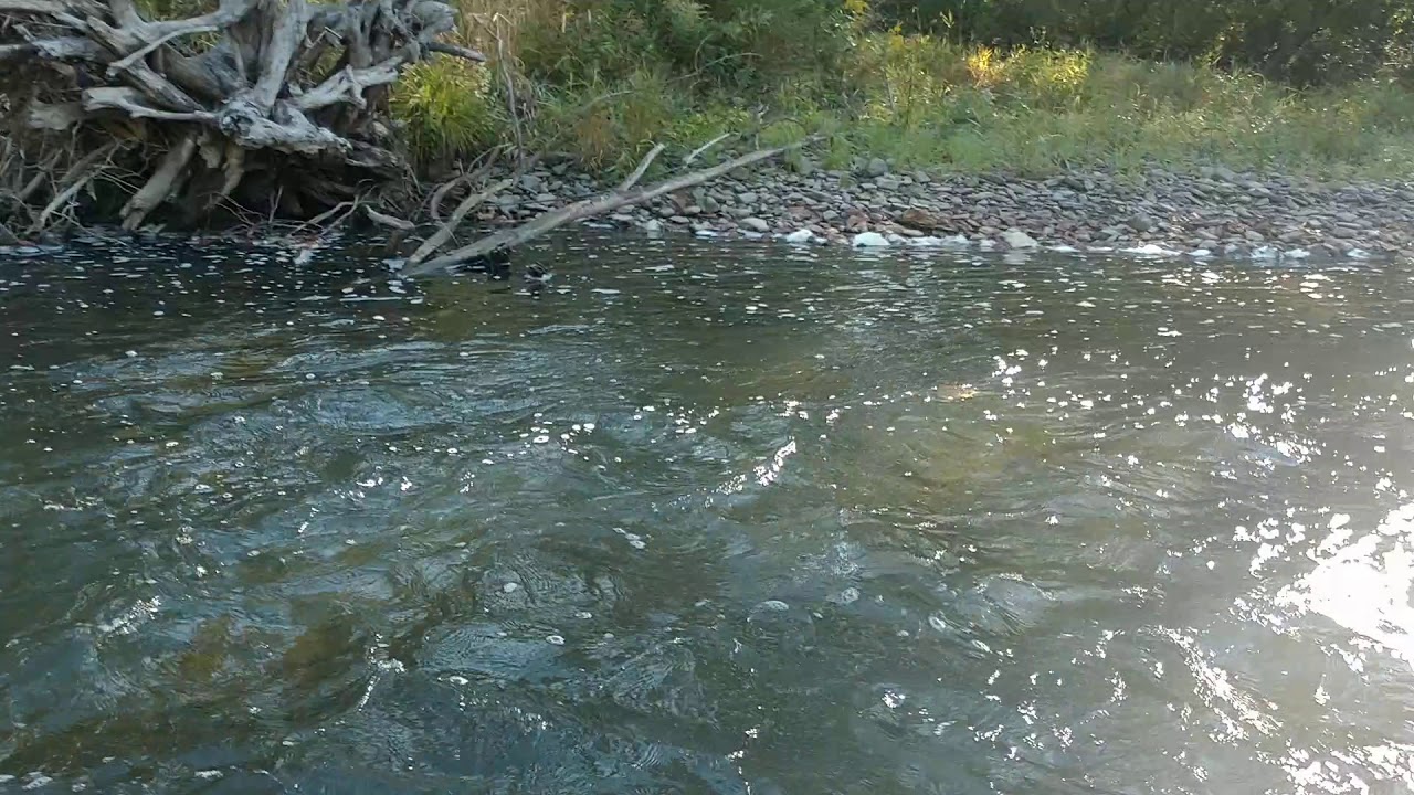 Video of Riverhurst Campground, NY from David M. - YouTube