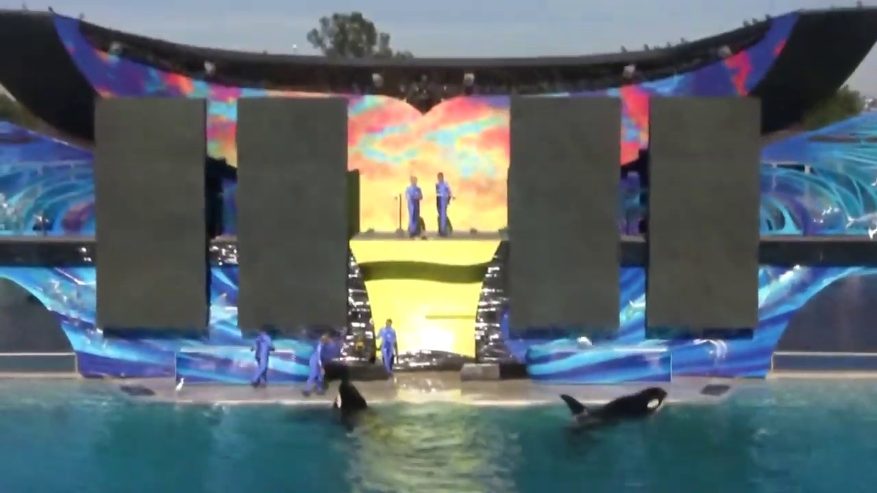 The Complete 'One Ocean' Shamu Show at Sea. 2020 SeaWorld San Diego has ...