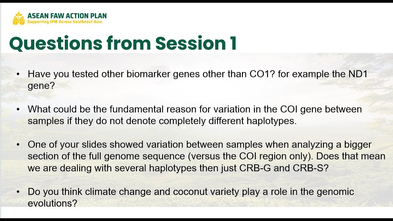 Part 1: Follow Up Questions. - YouTube