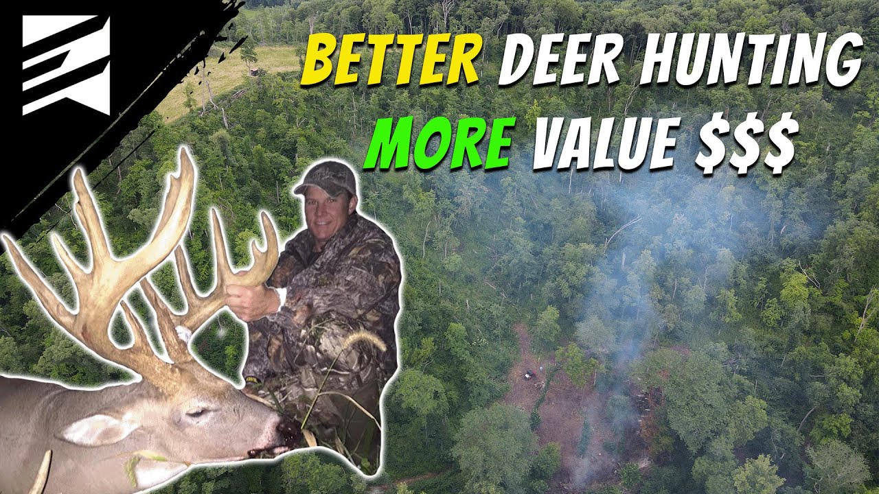 Understanding How to Manage Your TImber for Whitetails & Future ...