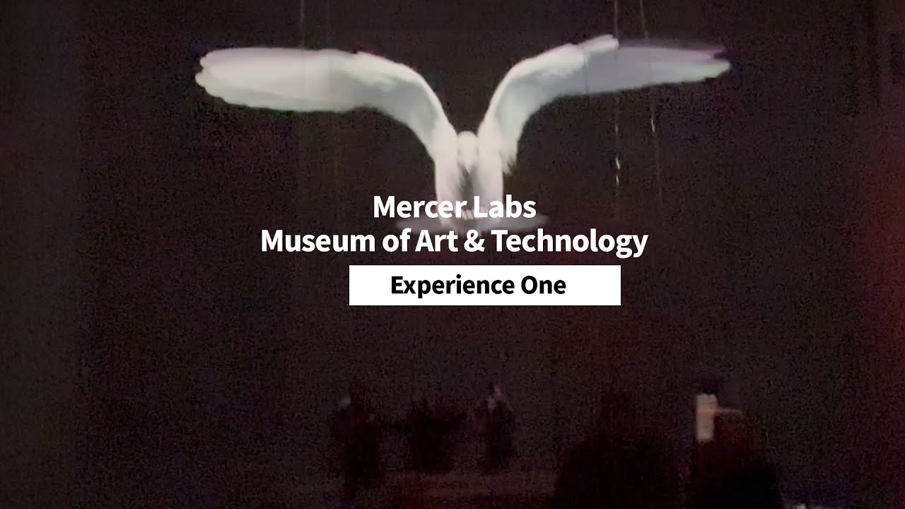 Experience One 1️⃣🕊️ - NYC Mercer Labs Museum of Art and Technology ...