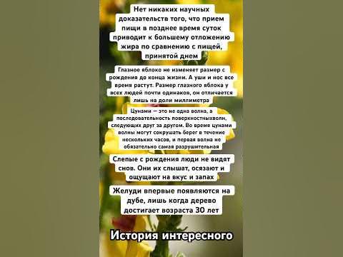 Интересные факты - YouTube