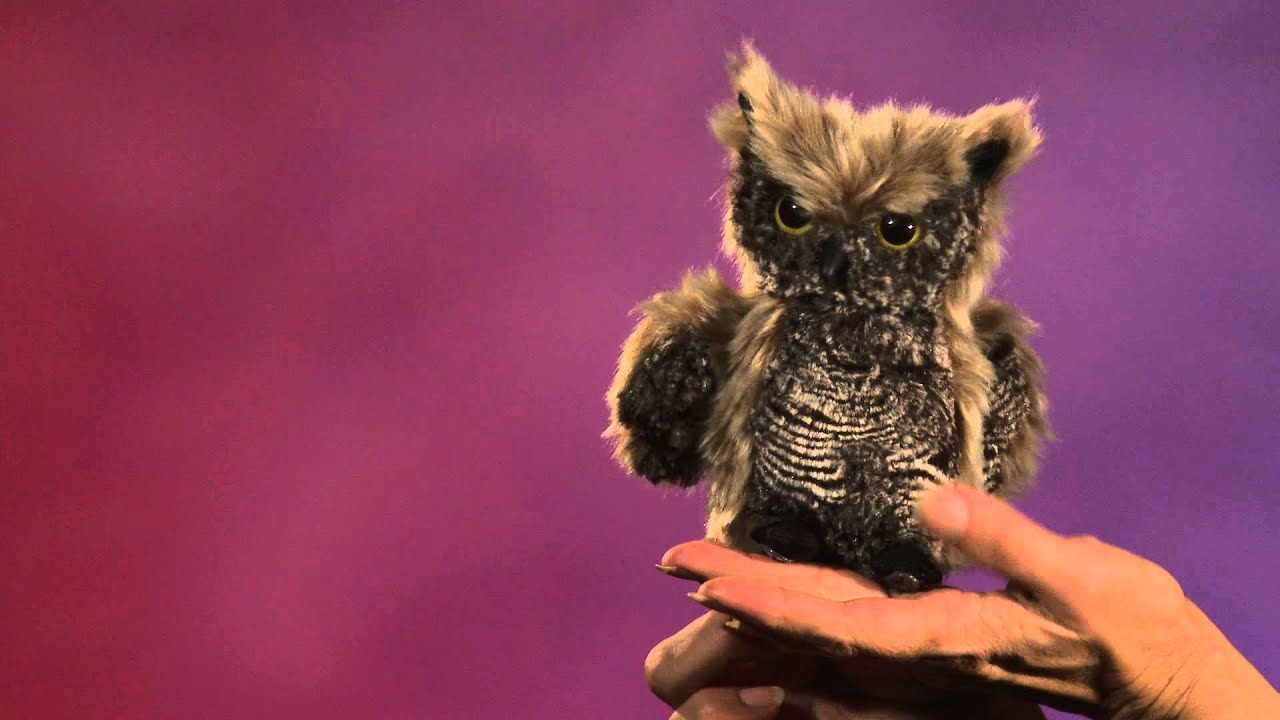 Folkmanis® Screech Owl Puppet Demo - YouTube