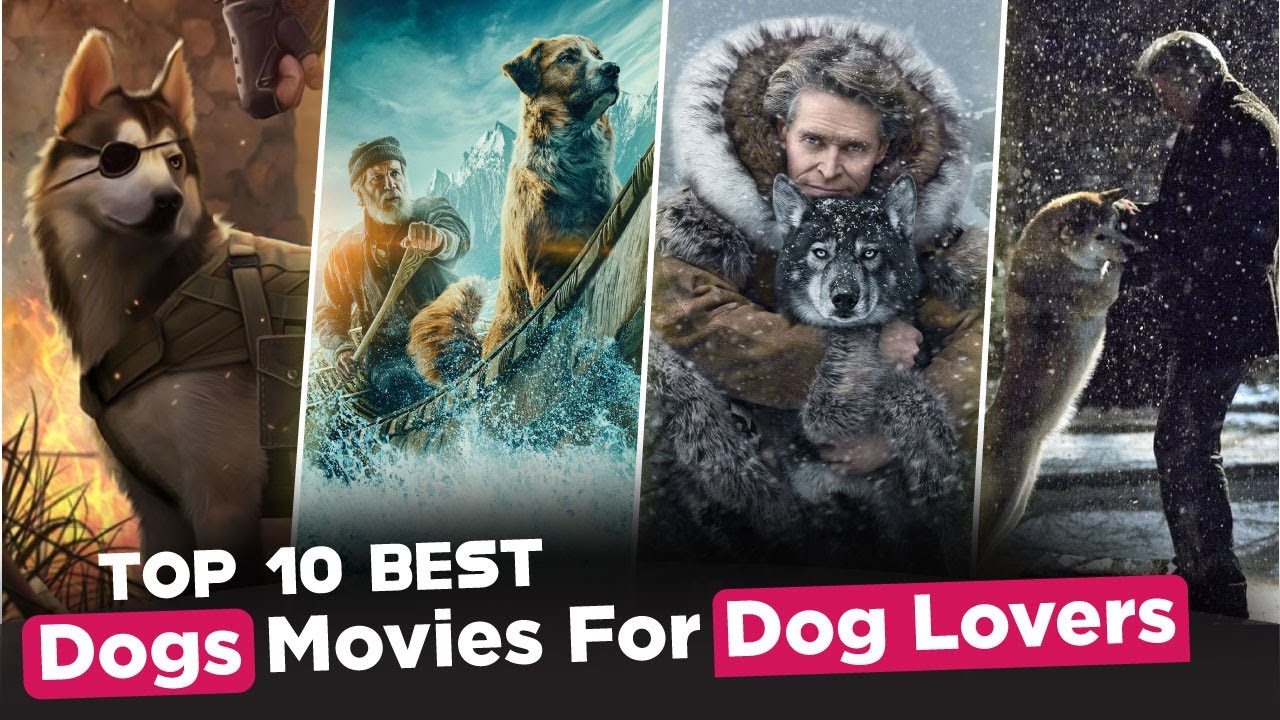 Top 10 Best Movies About Dogs | Best Movies for Dog Lovers - YouTube