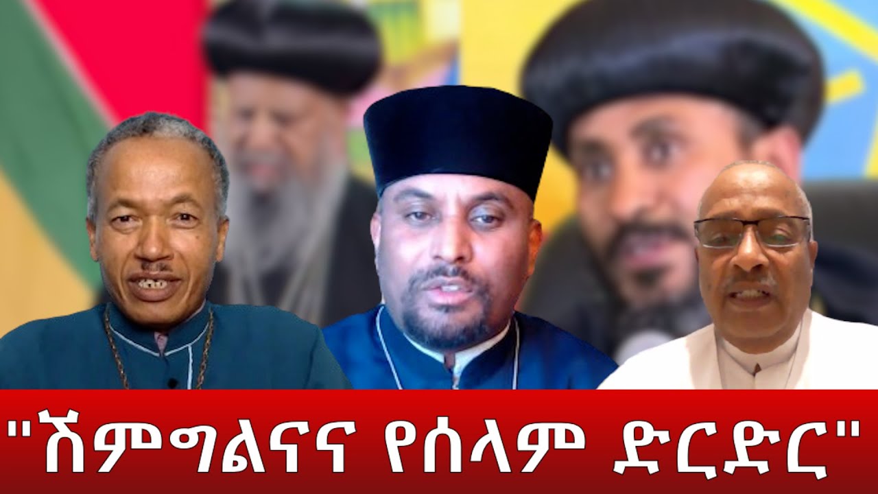 "ሽምግልናና የሰላም ድርድር" ''አንዳንድ ነገሮች" | Addisu Media// Monday Nov 27, 2023 ...