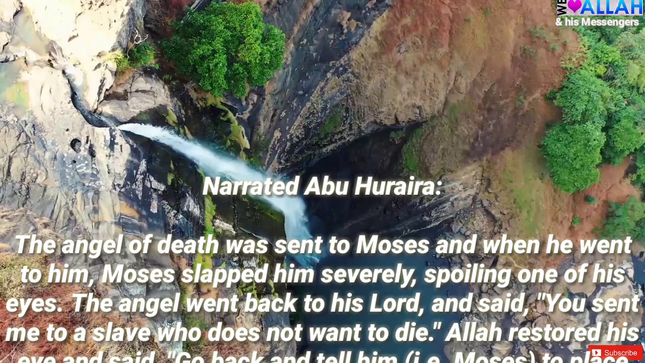 Daily Hadith 1081 ( When Musa PBUH Slapped The Angel) - YouTube