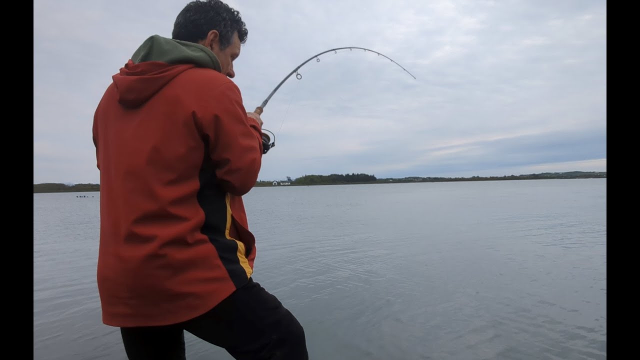 fish on the TOPWATER lure😁 Checking out a new mark - Anglesey sea ...
