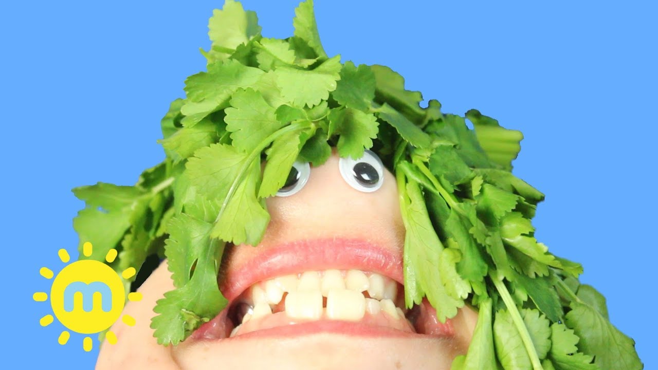Weebl's - Herbs are the thing! | Animated Music Video | Songs ...
