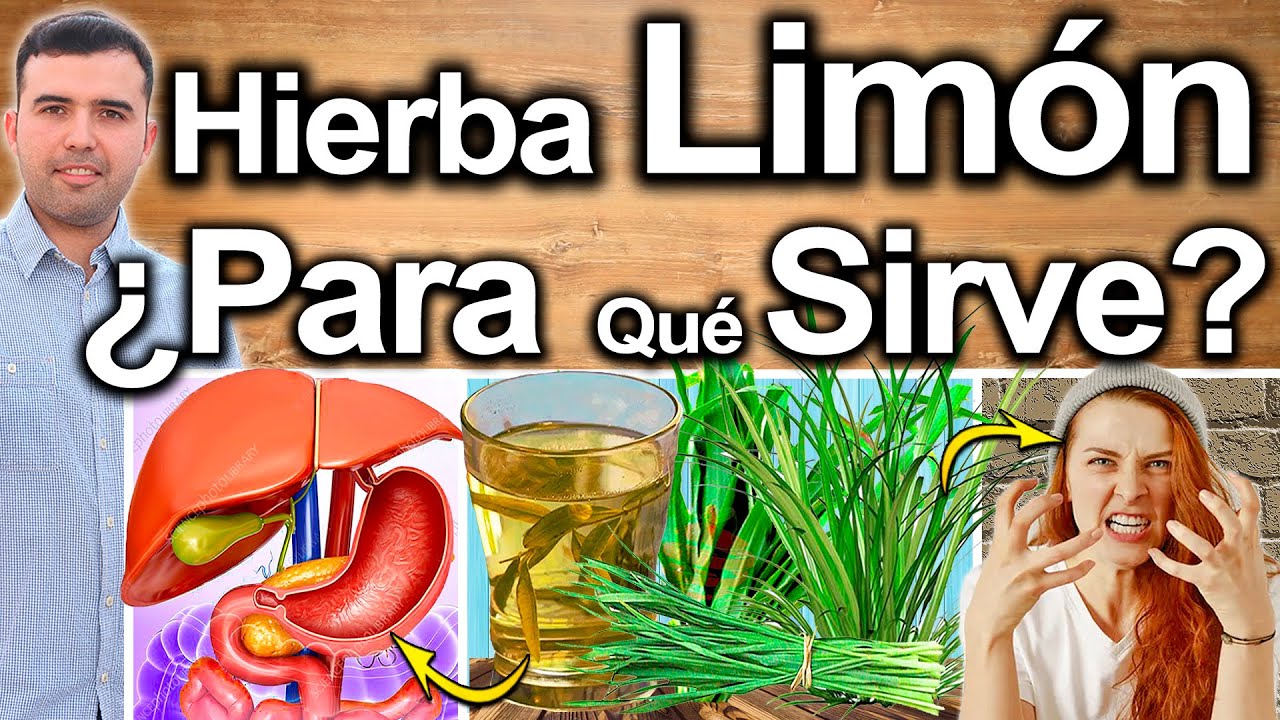 HIERBA LIMON PARA TODO! - ¿Para Qué Sirve El Paja Cedron? - Beneficios ...