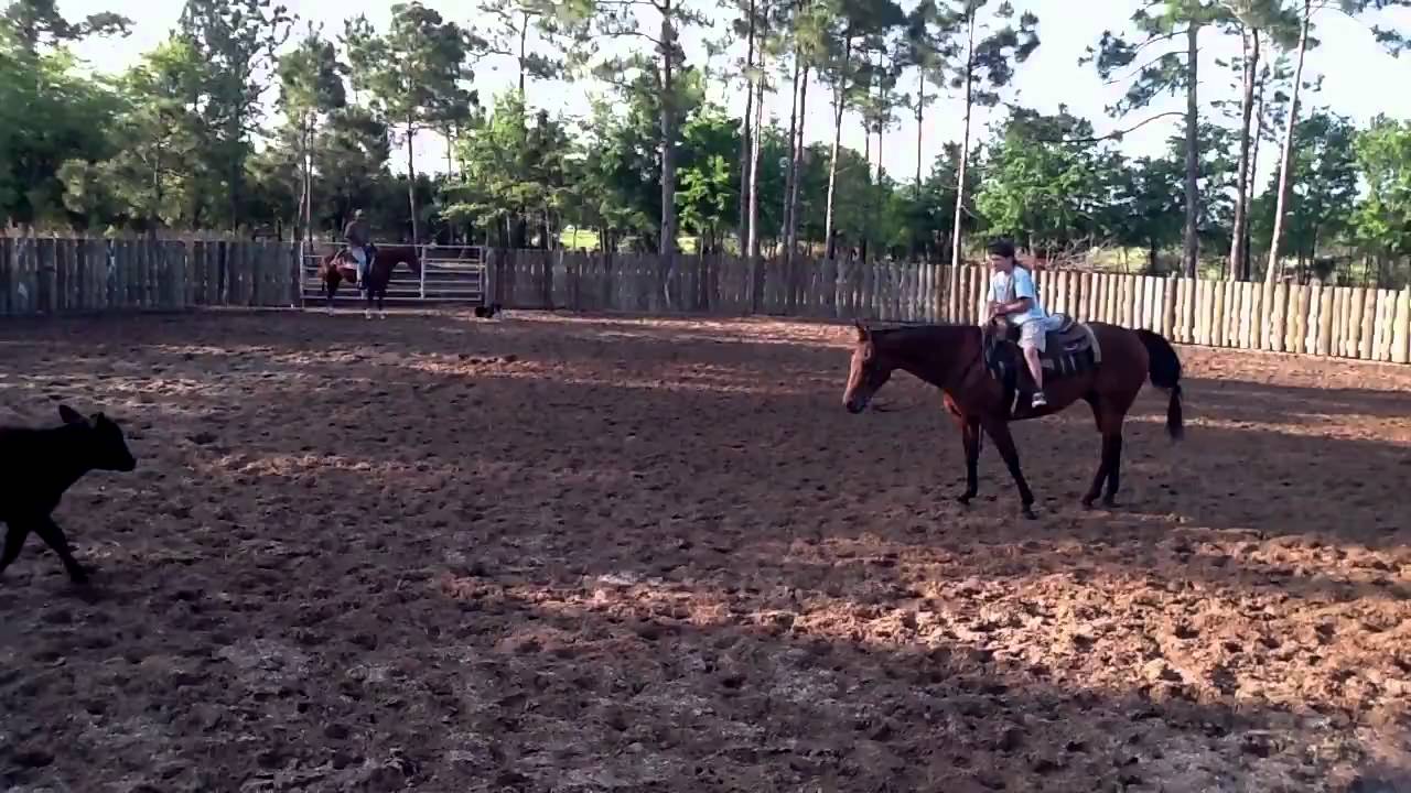Jackson on Boonie - YouTube